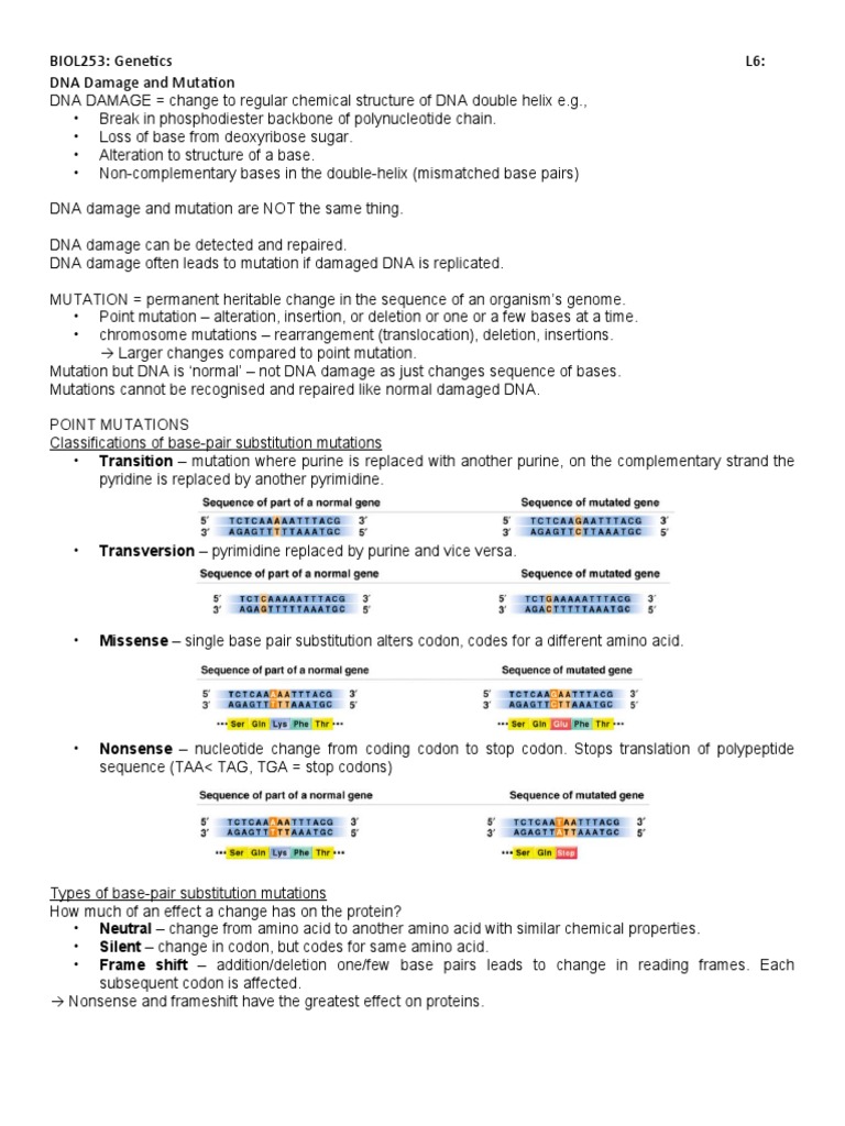 DNA Damage and Mutation Lecture Notes | PDF | Dna | Mutation