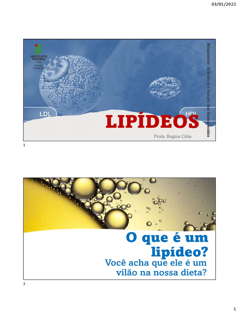 LIPIDEOS | PDF | Lipídio | Gordura