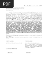 Ejemplo de Carta Poder con Testigos | PDF