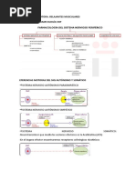 Calmador CB Prospecto | PDF | Dolor | Analgésico
