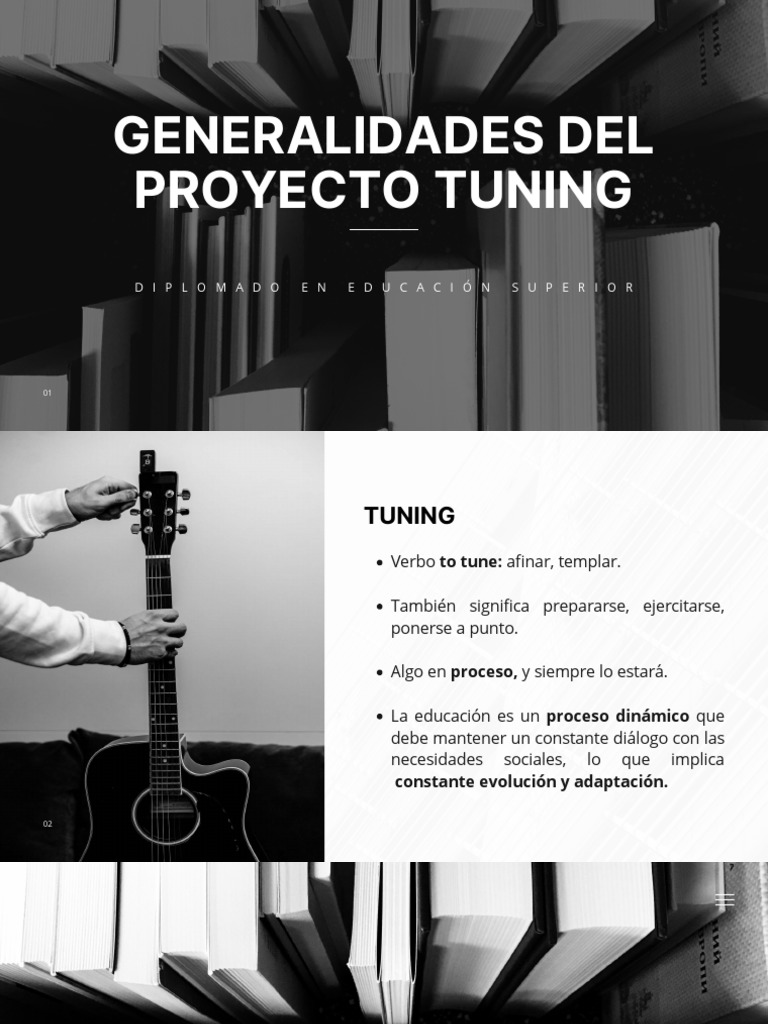 Generalidades Proyecto Tuning | PDF | America latina | Evaluación