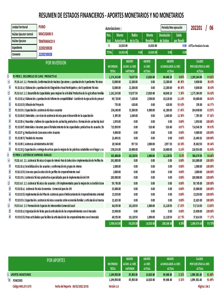 Resumen de Estados Financieros - Aportes Monetarios Y No Monetarios | PDF