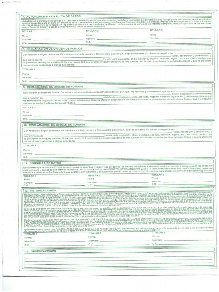 Formato Autorizacion Consulta de Datos | PDF