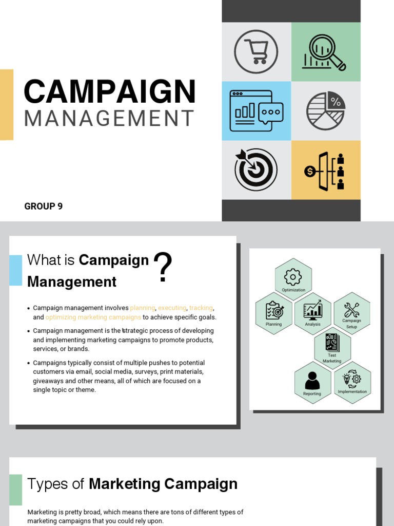 Campaign Management Pdf Target Audience Marketing