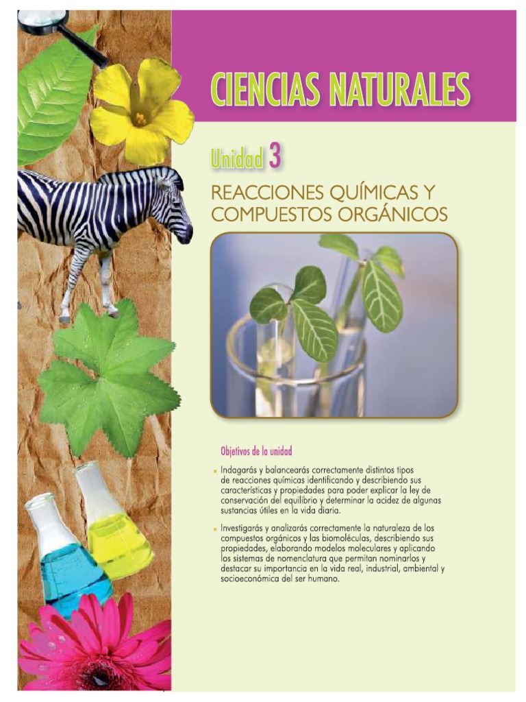 Modulo 3 de Ciencias 2° | PDF