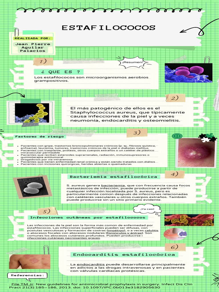 Infografia Estafilococos | PDF | Staphylococcus Aureus | Estafilococo