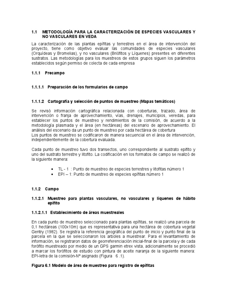 Caracterización de Especies Vasc. y No Vasc. | PDF | Plantas | Cita
