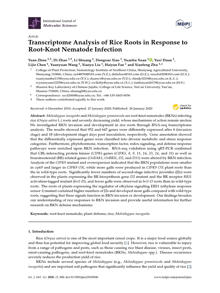 Transcriptome Analysis Of Rice Roots In Response To Root Knot Nematode
