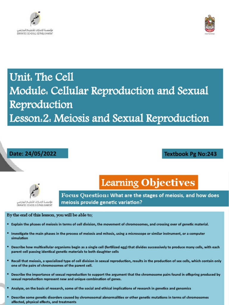 CA Lesson 2 Meiosis+and+Sexual+Reproduction | PDF | Meiosis | Chromosome