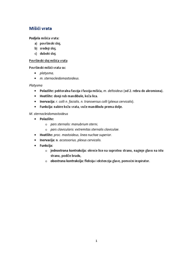 A2V3 Mišići Glave I Vrata Handout Banovac | PDF