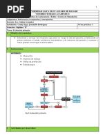 Protocolo de Evaluación XABCDE | PDF