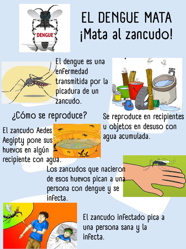 Dengue Infografía | PDF