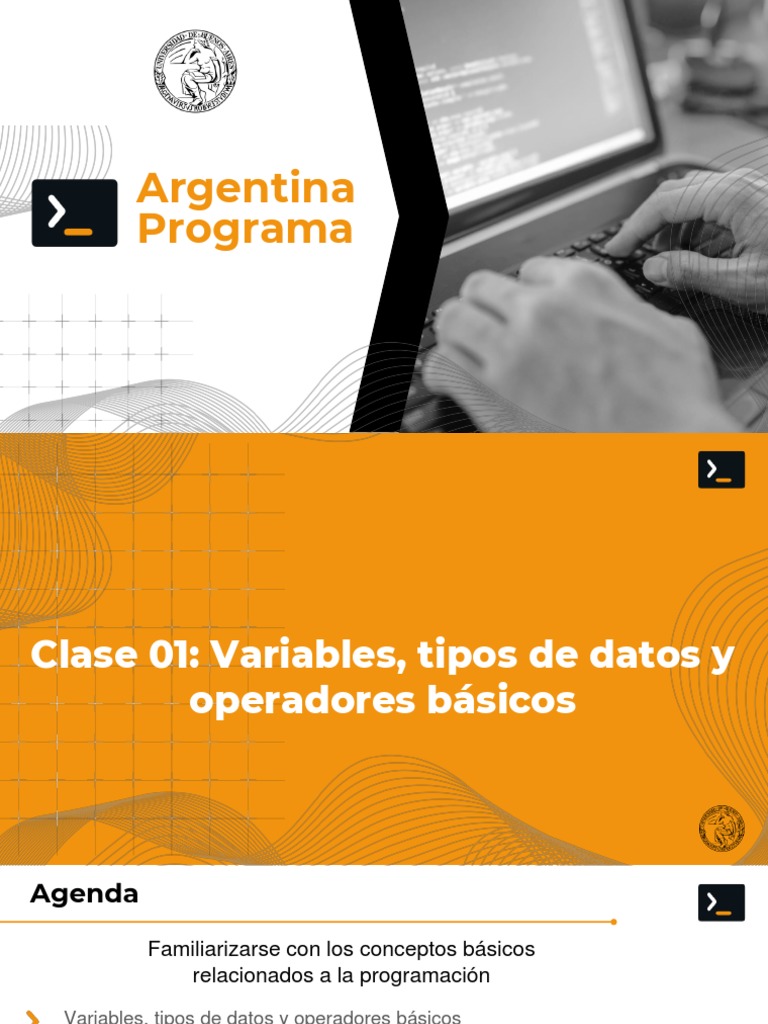 Variables, Tipos de Datos y Operadores Básicos | PDF | Tipo de datos | Variable (informática)