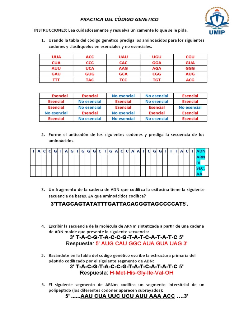 Práctica de a.a. y código genético | PDF | Codigo genetico | Adn