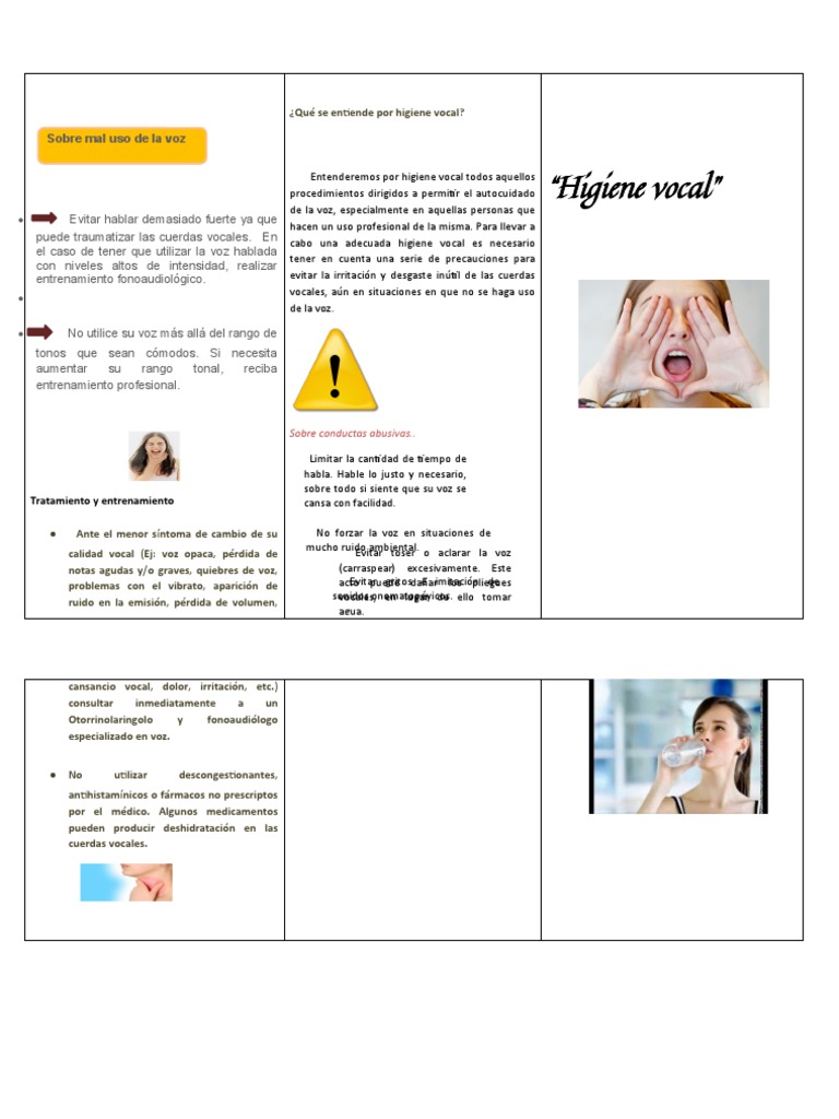 Triptico Higiene Vocal | PDF | Deshidración | Especialidades Medicas