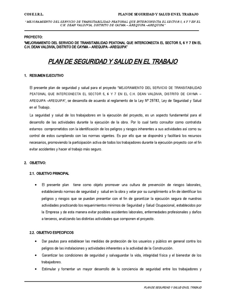Plan de Seguridad y Salud Dean Valdivia Cayma | PDF | Seguridad y salud ocupacional | La seguridad