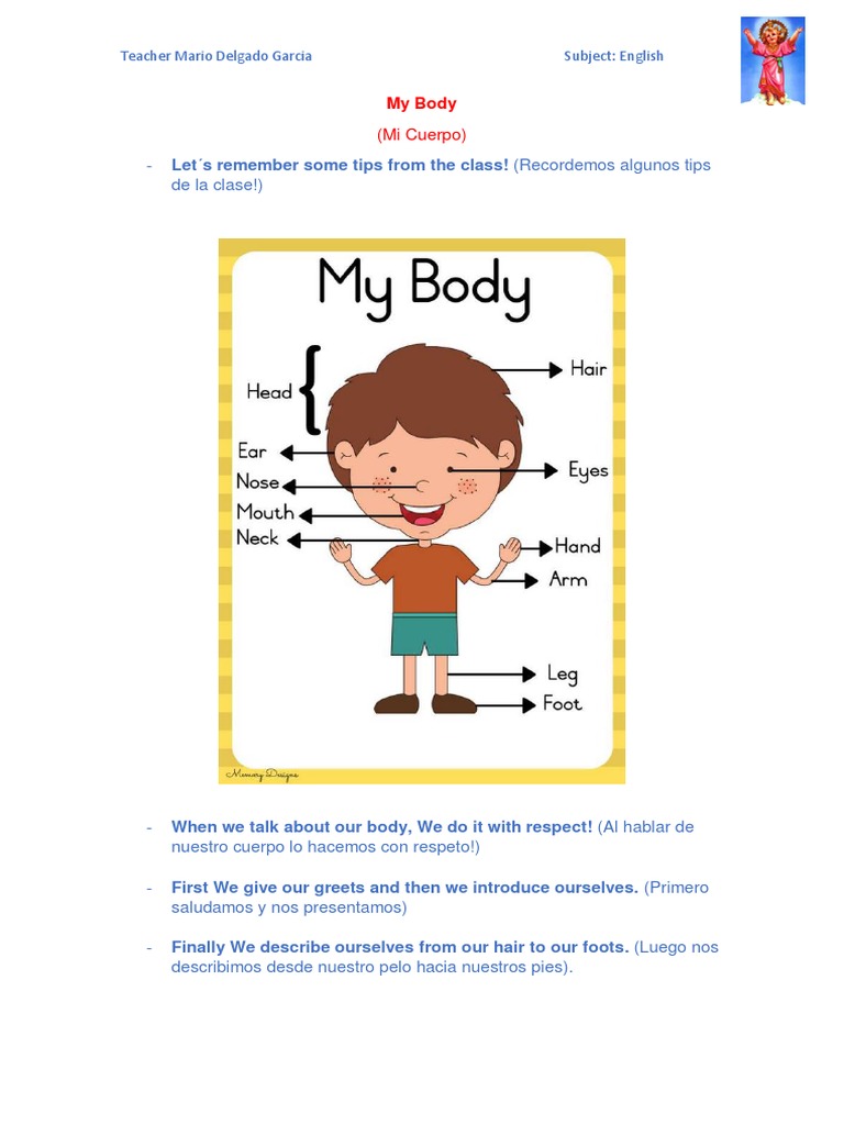 My Body | PDF