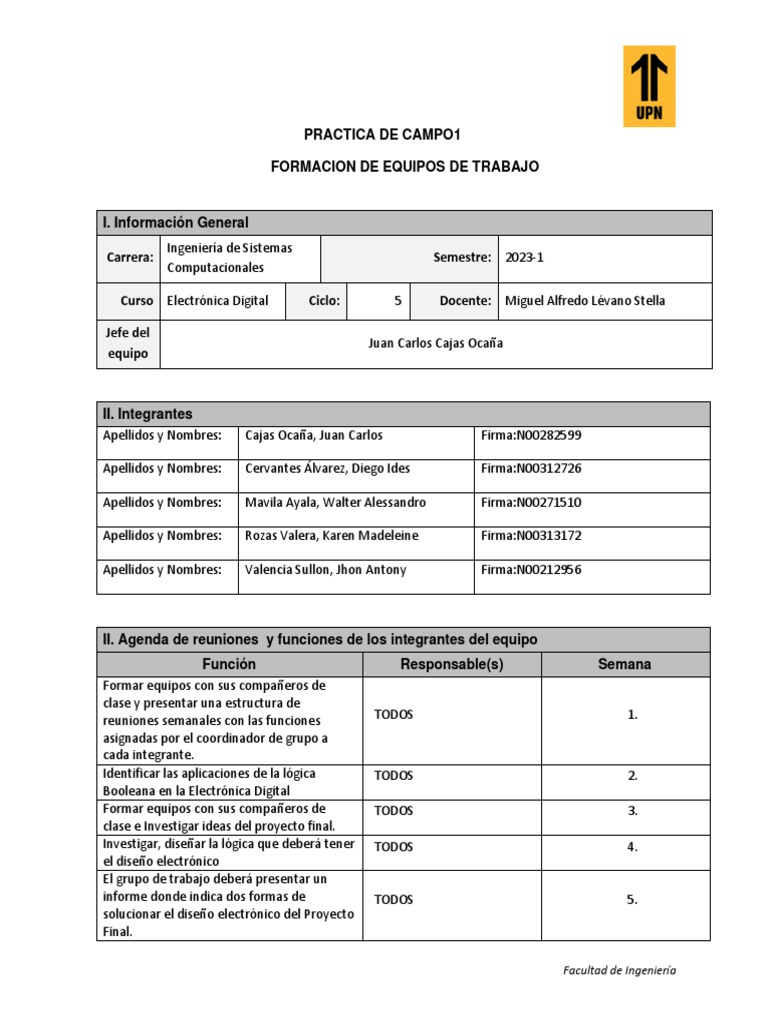 Formato Practica de Campo 1 | PDF | Diseño