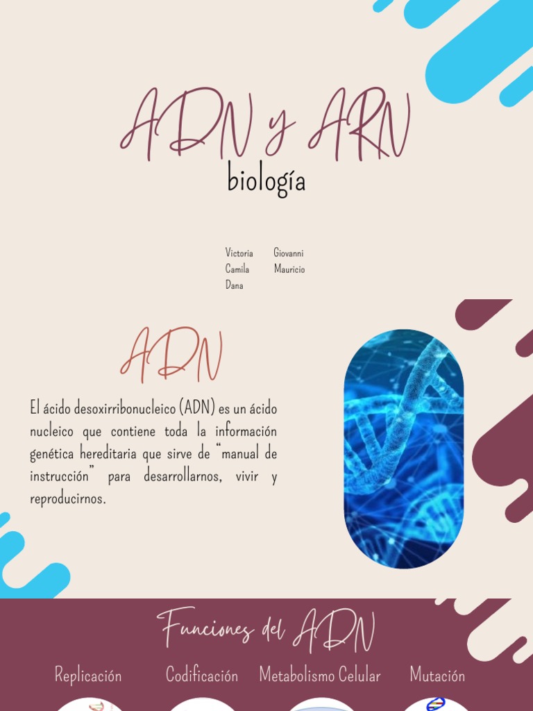 ADN y ARN | PDF | Rna | Adn