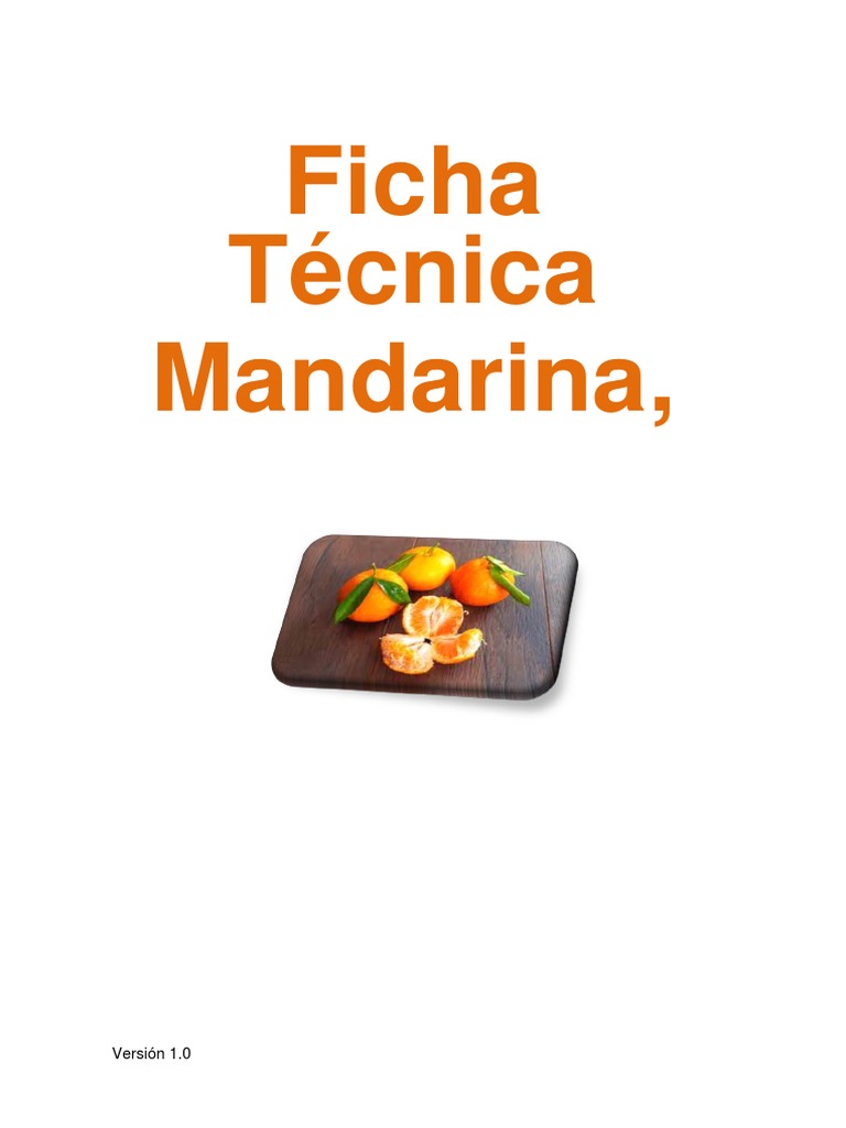 FICHA TECNICA W.MURCOTT - PCC (1) | PDF