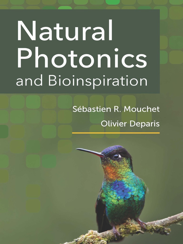 Natural Photonics and Bioinspiration-Artech House (2021) | PDF | Color ...