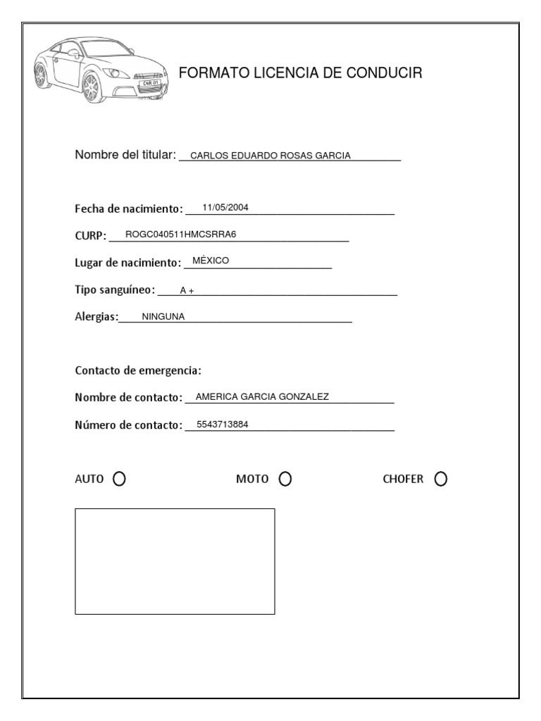 FORMATO LICENCIA DE CONDUCIR (2) (1) | PDF