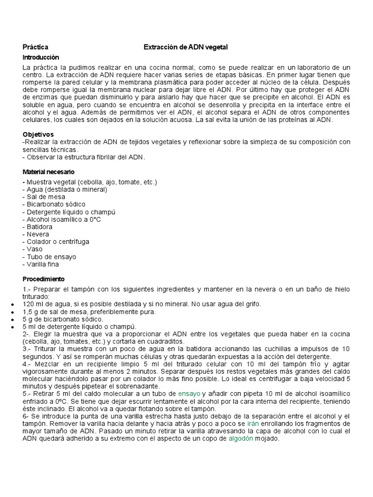 Práctica Extracción de ADN Vegetal | PDF | Adn | Agua