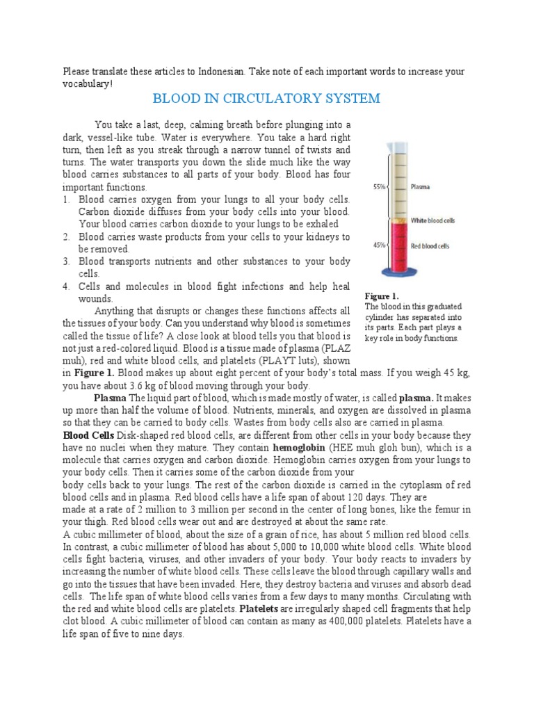 Human Body Worksheet Pdf Digestion Blood