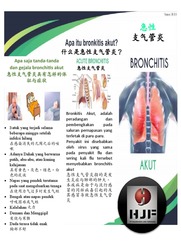 Brosur Bronkitis-Chinaindo-1 | PDF