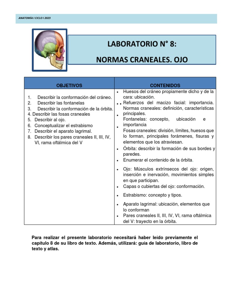 Laboratorio 8 Normas Craneales . Ojo | PDF | Ojo humano | Cráneo