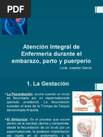 Puerperio Fisiologico, Inmediato, Mediato y Tardio | PDF | Periodo ...