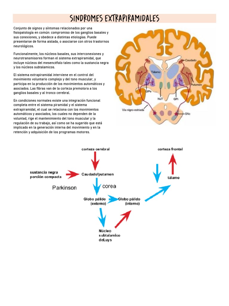 Trastornos del Sistema Extrapiramidal | PDF | Ganglios basales ...