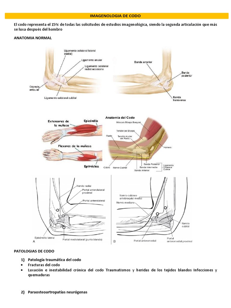 4) Imagenologia de Codo | PDF | Codo | Sistema musculoesquelético
