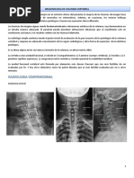 Lesiones Básicas. Osteofitos (Clases), Sindesmosfitos, Entesofitos ...