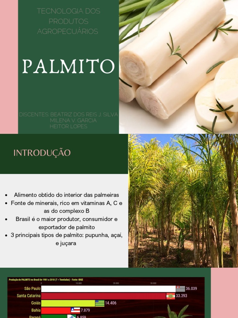 Tpa - Palmito | PDF | Embalagem e rotulagem