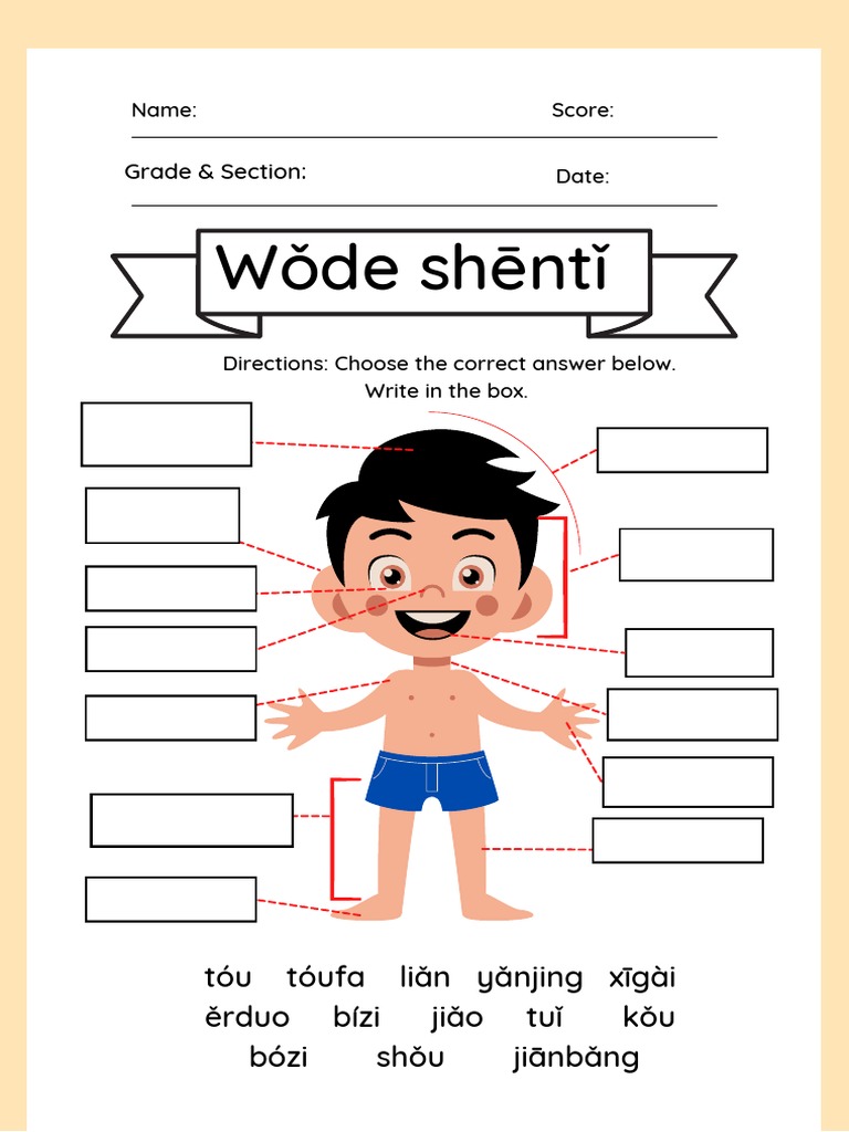 Boy Body Parts Worksheet Labelling | PDF