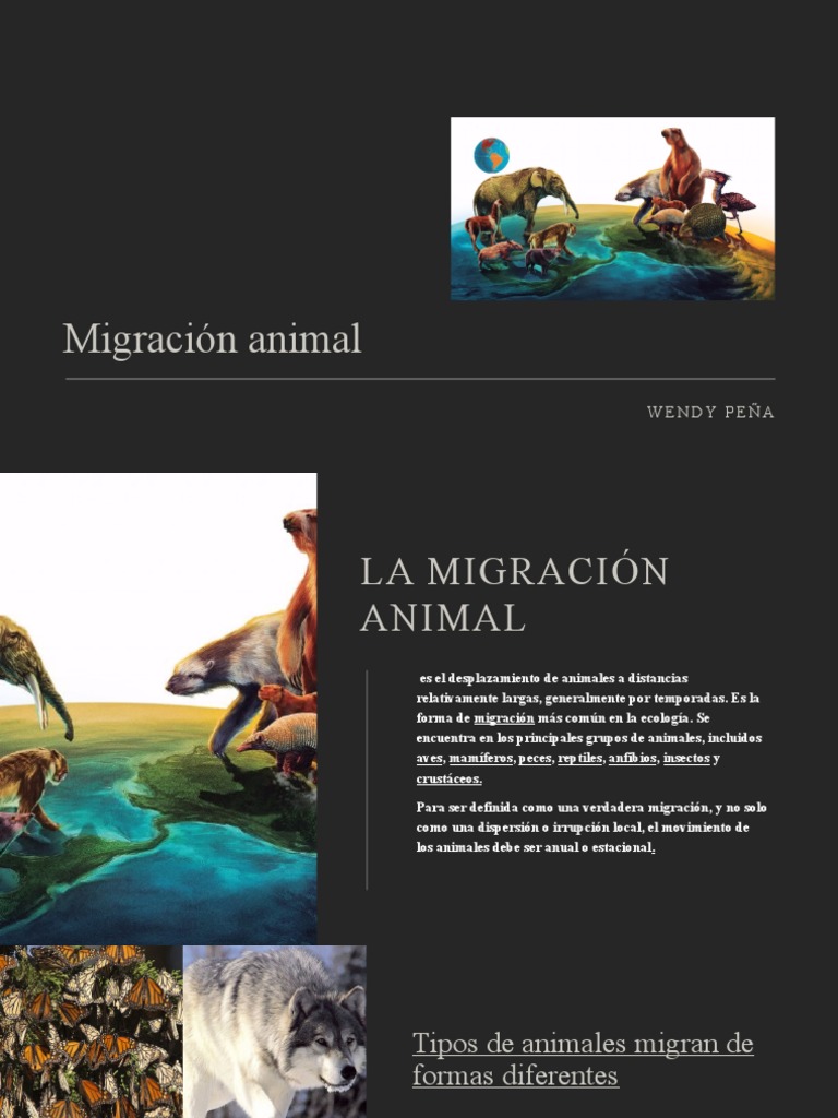 Tipos de migración animal explicados | PDF | Hogar, jardinería y bricolaje