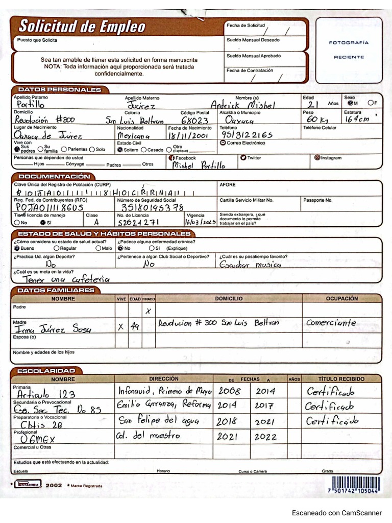 Solicitud de Empleo | PDF