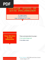 Vascular Plug - Abbott - Amplatzer Vascular Plug | PDF | Interventional ...