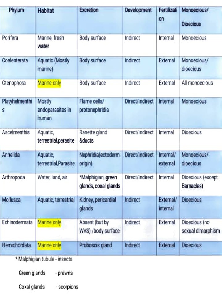 Animal kingdom chart | PDF