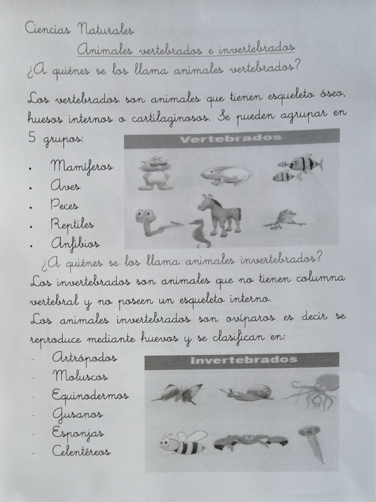 Actividades sobre Vertebrados e Invertebrados | PDF | Artes del ...
