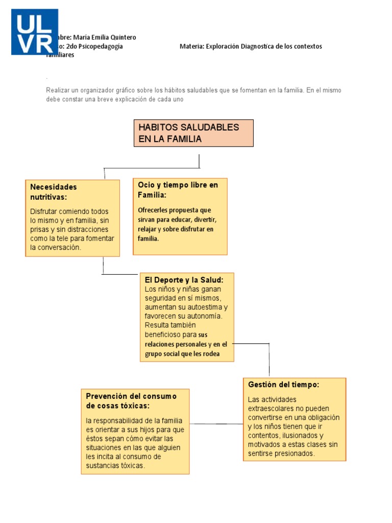 Organizador Grafico | PDF