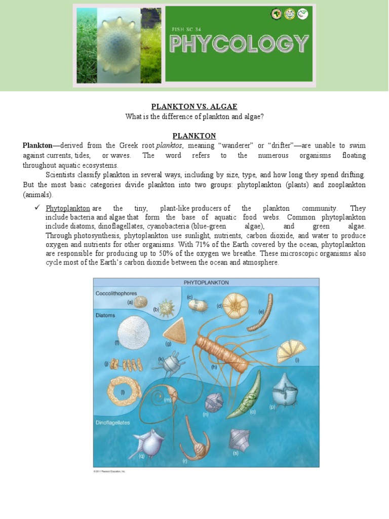 Assignment 1 | PDF | Plankton | Algae