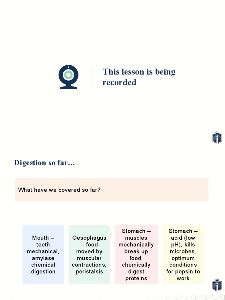 Week 17 BIO LEARN - Digestion and Energy in Food | PDF | Small ...