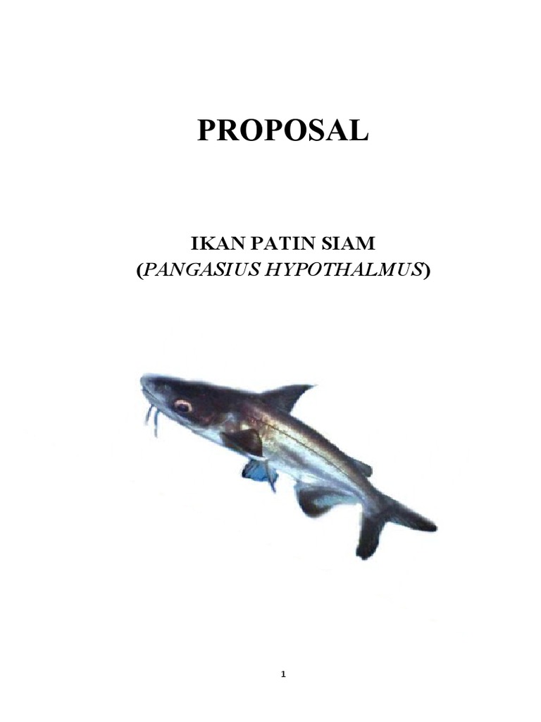 Proposal - Ikan Patin | PDF