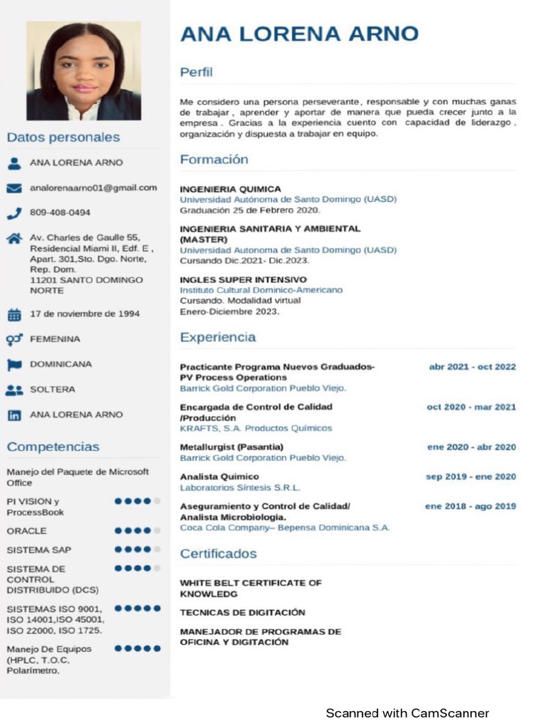 CV Ana L. Arno | PDF