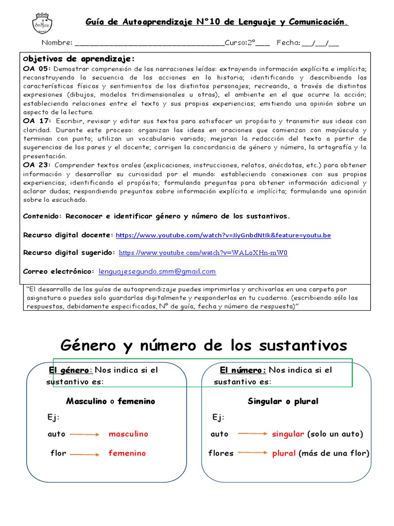Guia de Lenguaje Género y Número | PDF | Numero Gramatical | Sustantivo