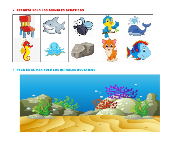 Recorta Solo Los Animales Acuaticos | PDF