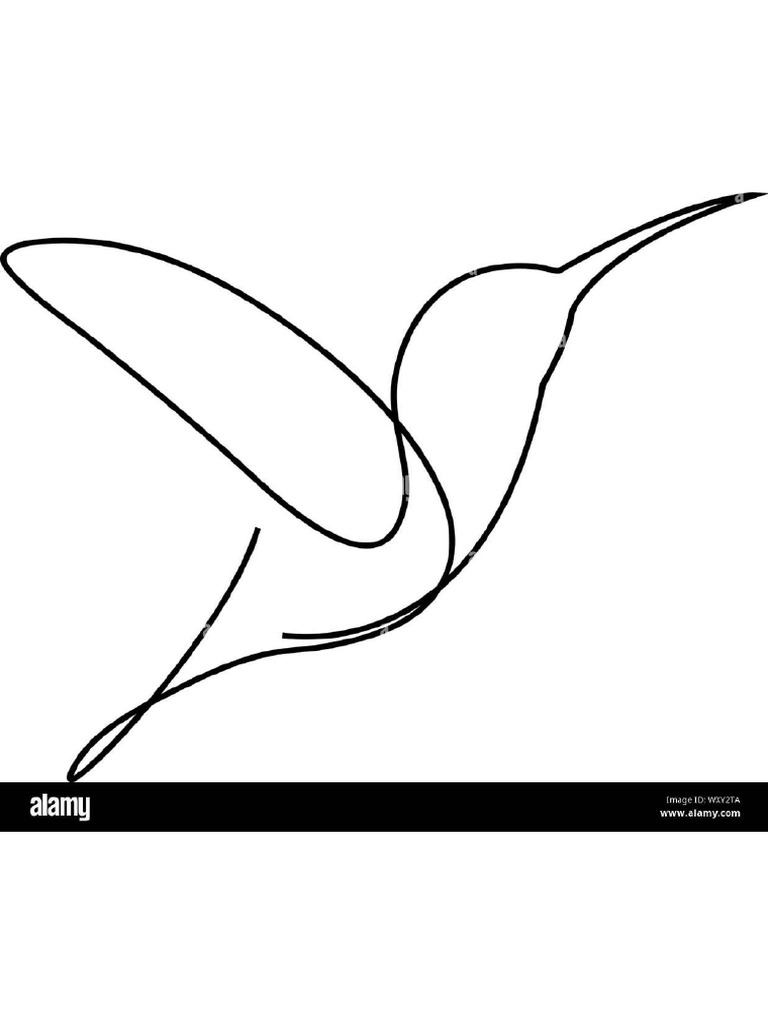 Una Linea de Diseno de Moscas Colibri Silueta Dibujados A Mano de ... Una Linea de Diseno de Moscas Colibri Silueta Dibujados A Mano de ...