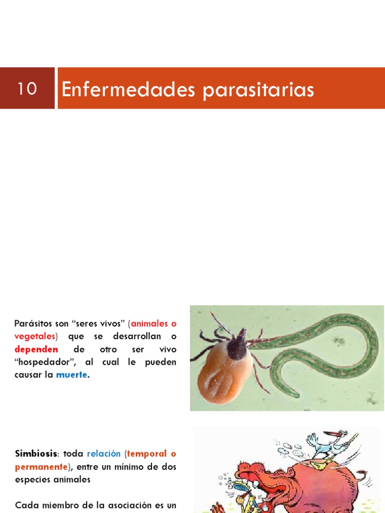 10 Enfermedades Parasitarias Intro | PDF | Parasitismo | Infección